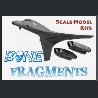 ORDER PROCESS – BONE FRAGMENTS