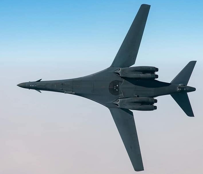 BF48005 B-1B ANTENNA SET – BONE FRAGMENTS